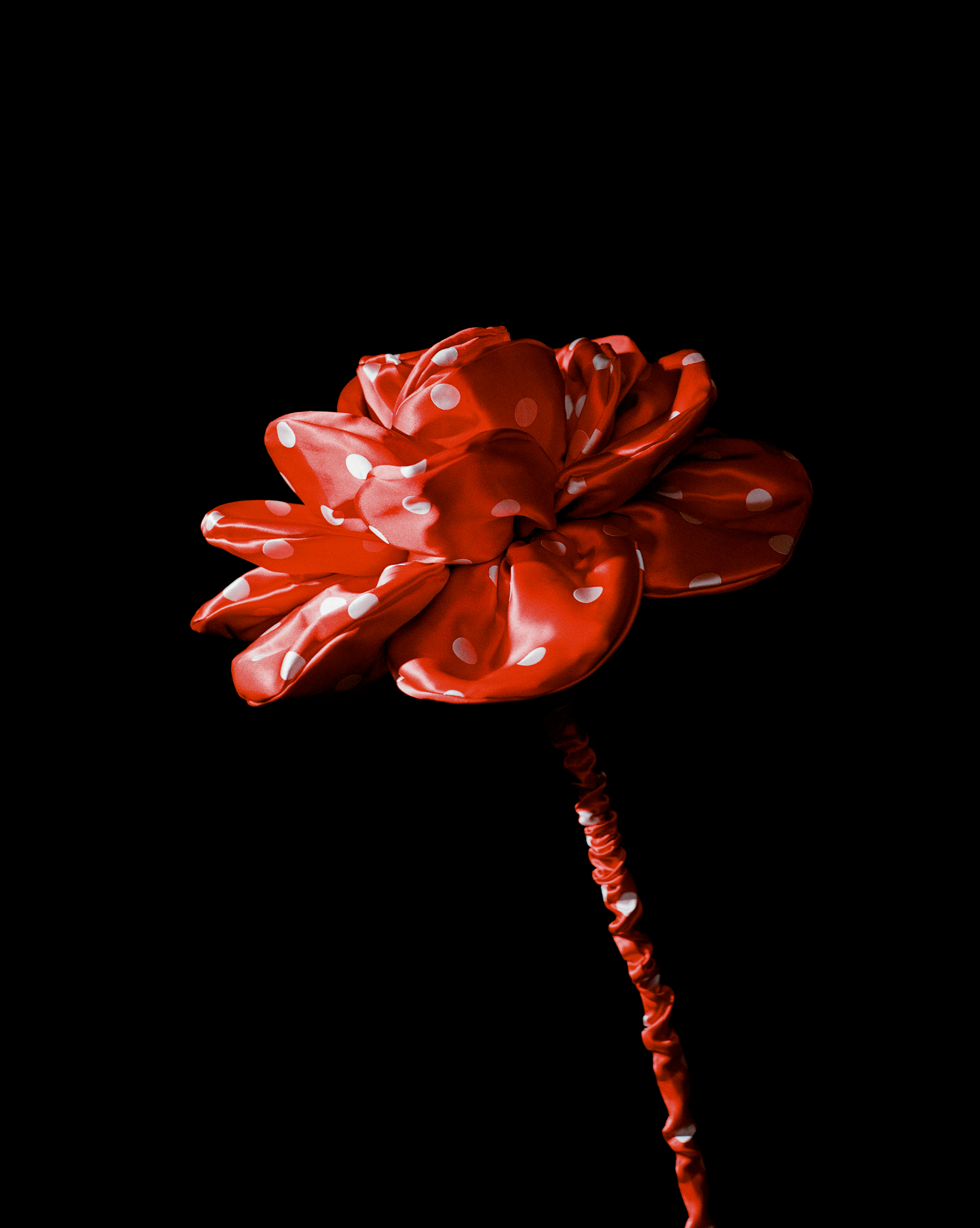 Тренды 2024/2025: минимализм и животные принты в коллекции Sahco